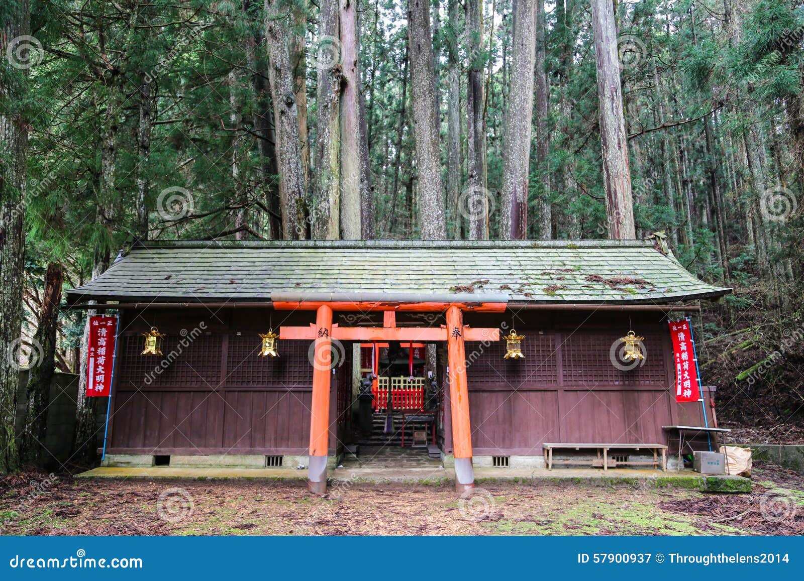 Japanese Buddhist Temple in the Forest Stock Image - Image of shrine ...