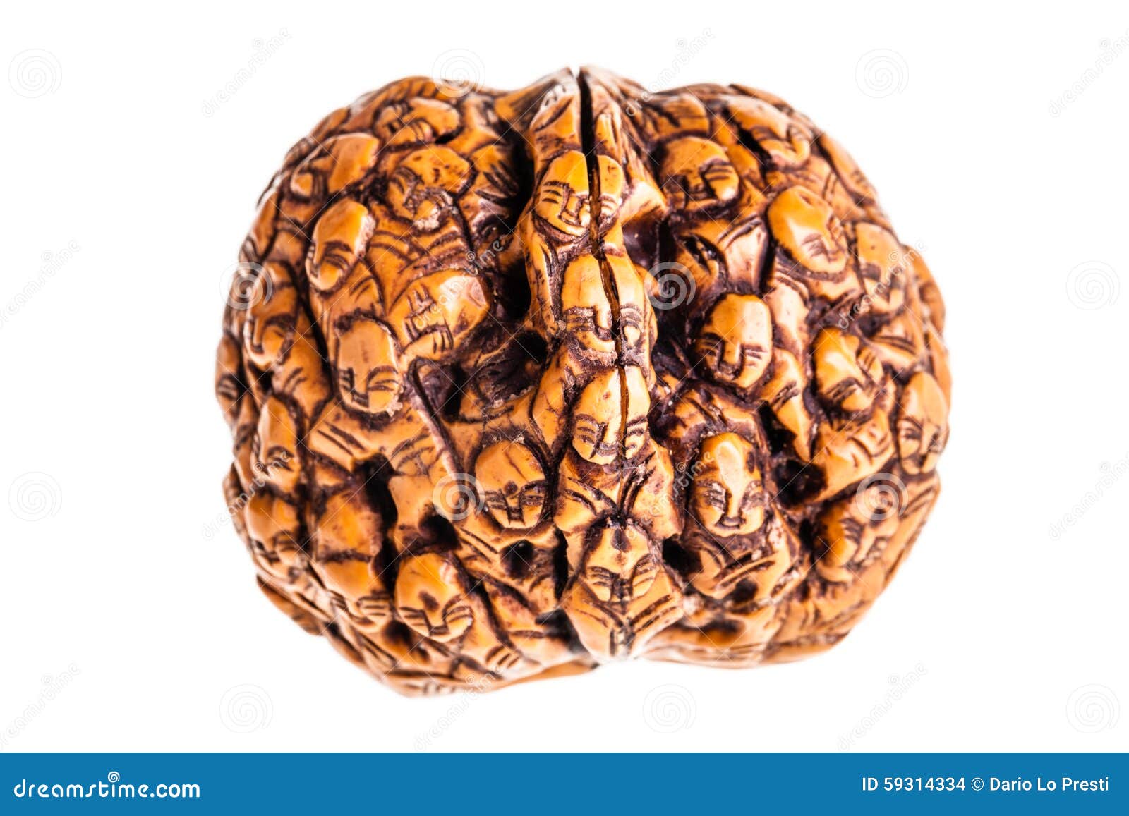 141 Carved Nutshell Stock Photos - Free & Royalty-Free Stock Photos ...