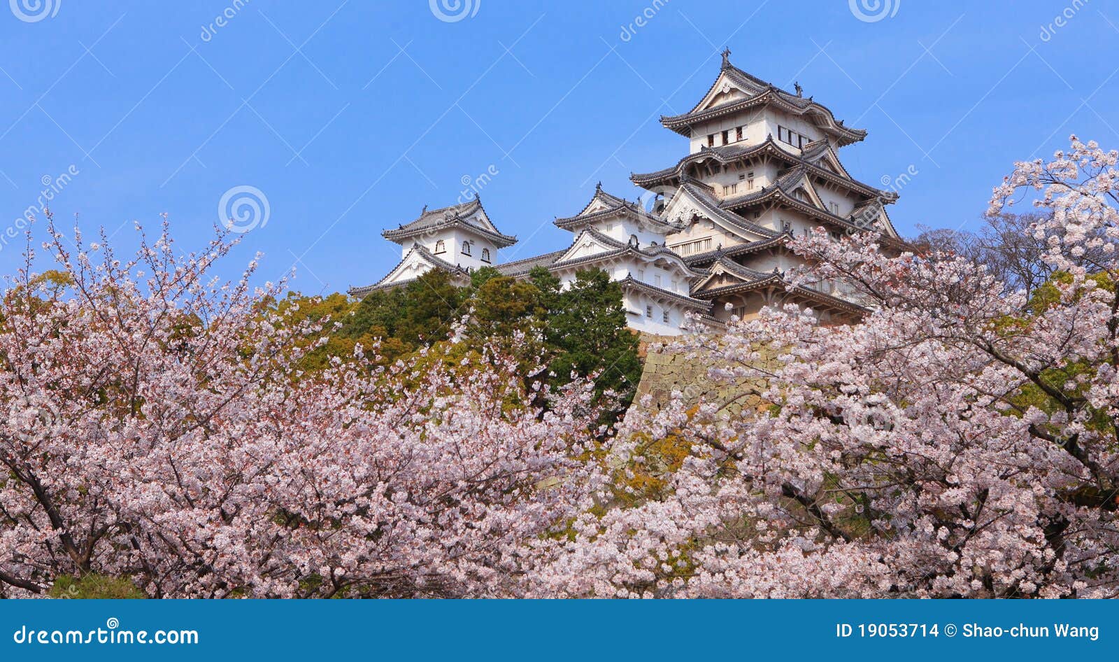 Japanese Castle and Beautiful Flower Stock Photo - Image of himeji ...