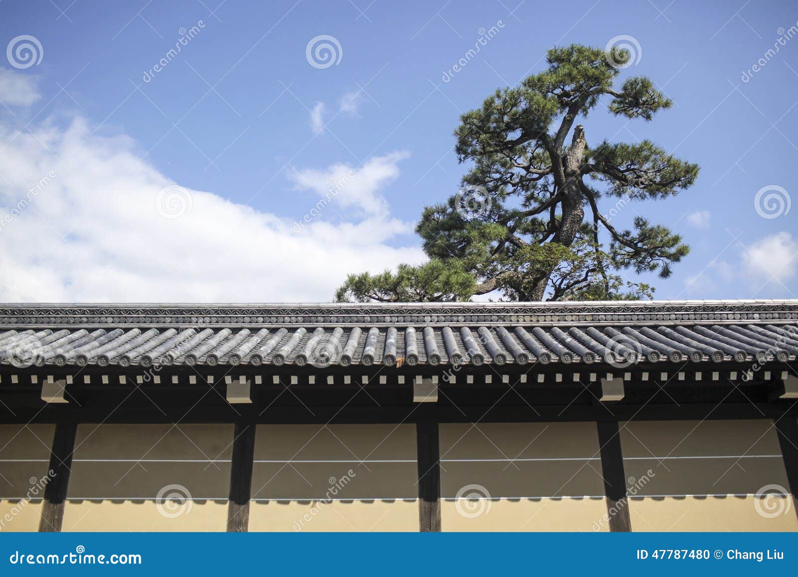 Japanese castle wall stock photo. Image of tree, kyoto - 47787480