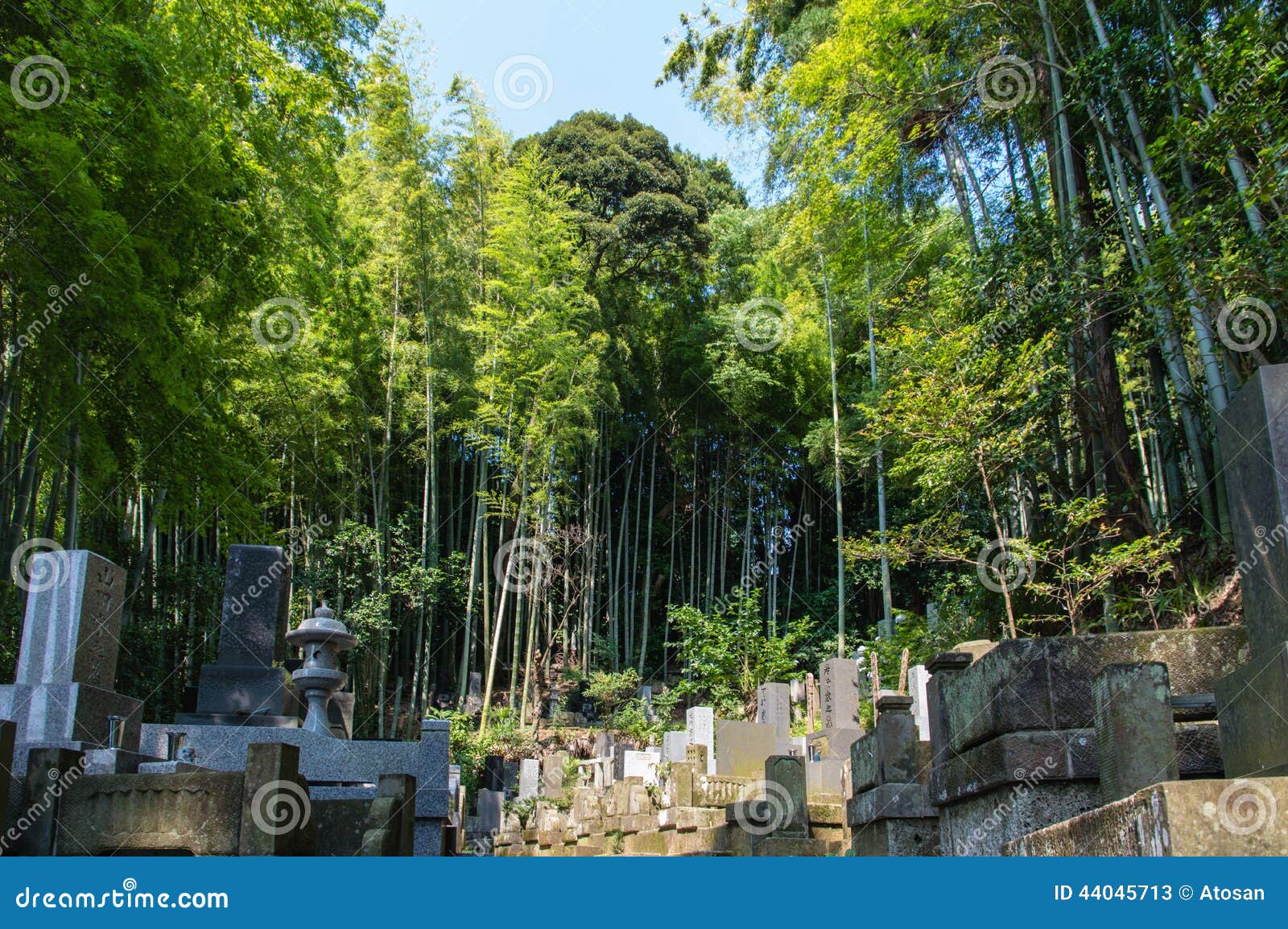Japanese Cemetery editorial stock photo. Image of praying - 44045713