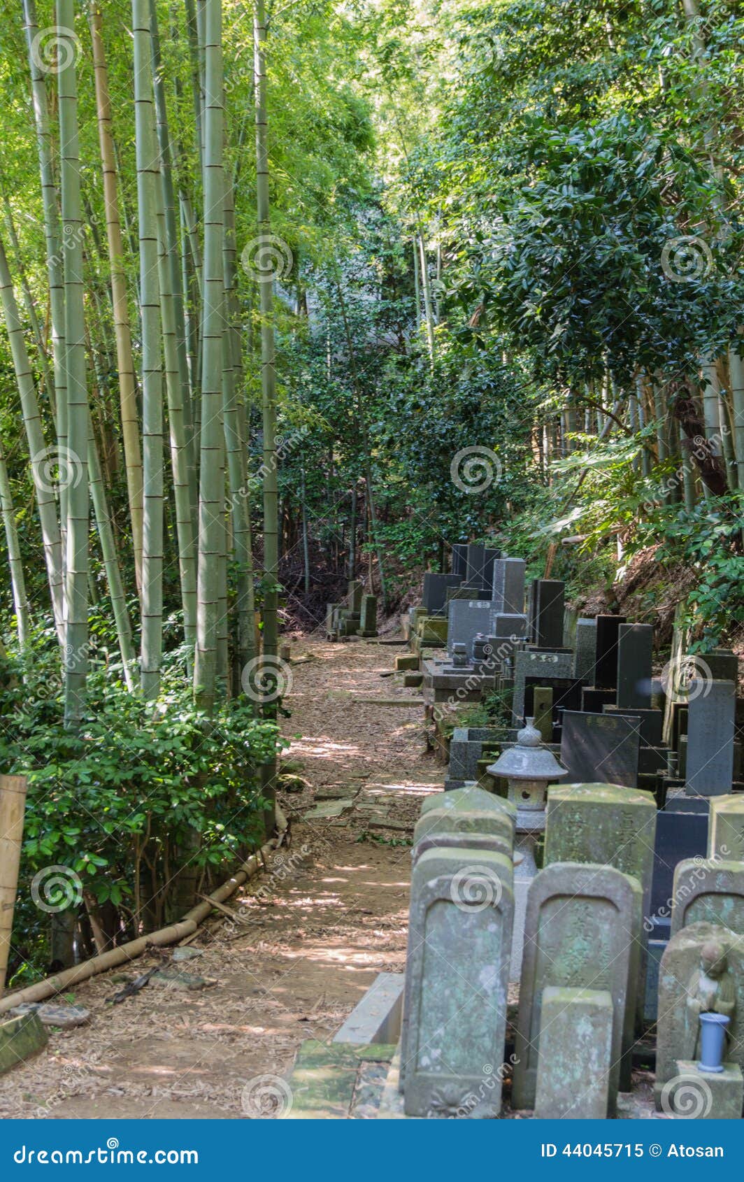 Japanese Cemetery editorial image. Image of people, fear - 44045715