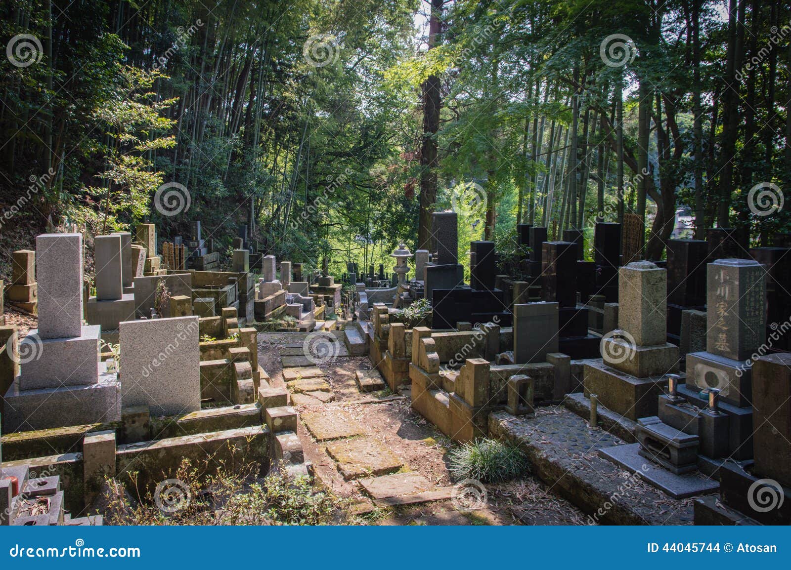 Japanese Cemetery Editorial Photo | CartoonDealer.com #44045639