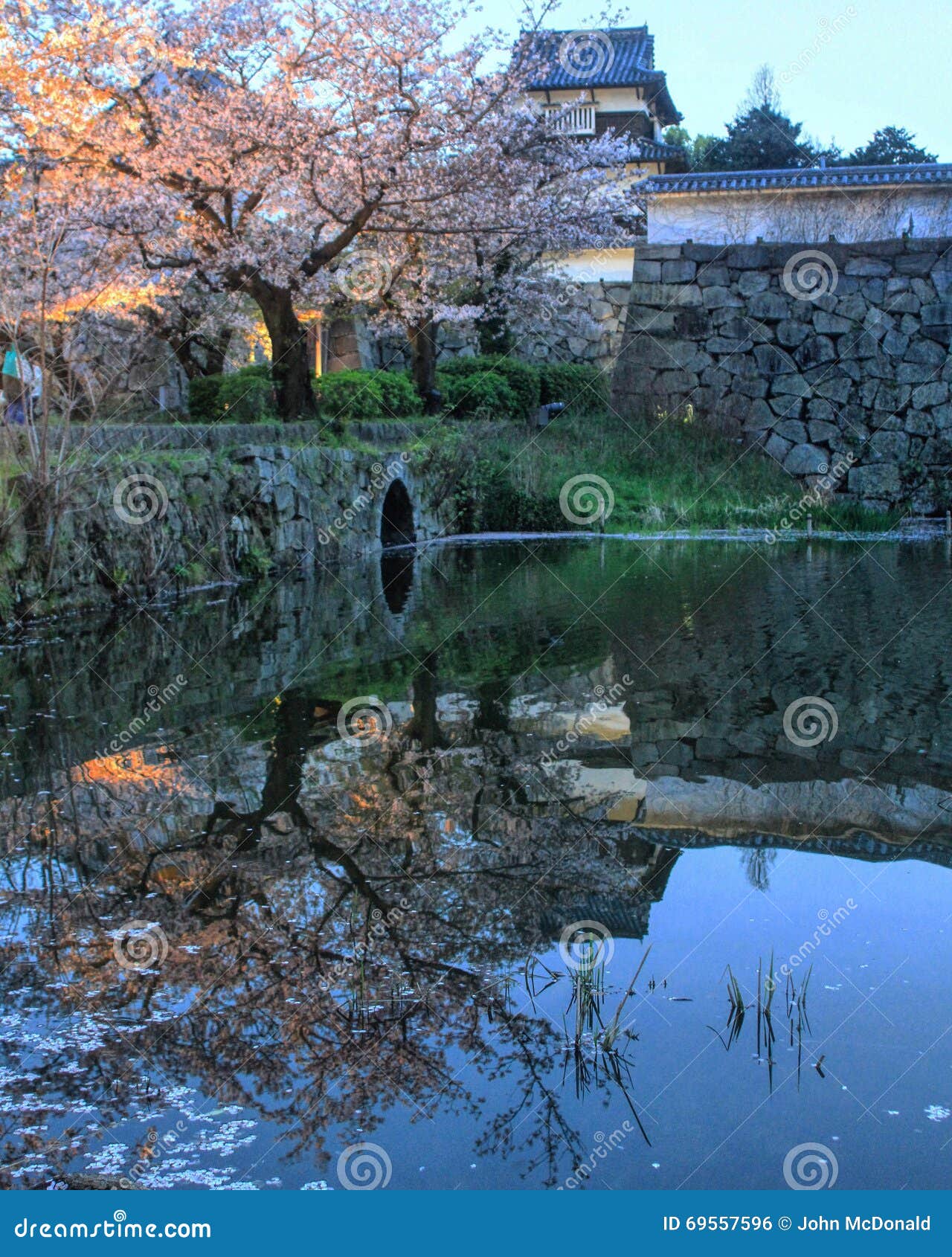 Reflection Of The Japanese Mukojima-Hyakkaen Gardens In The Pond ...