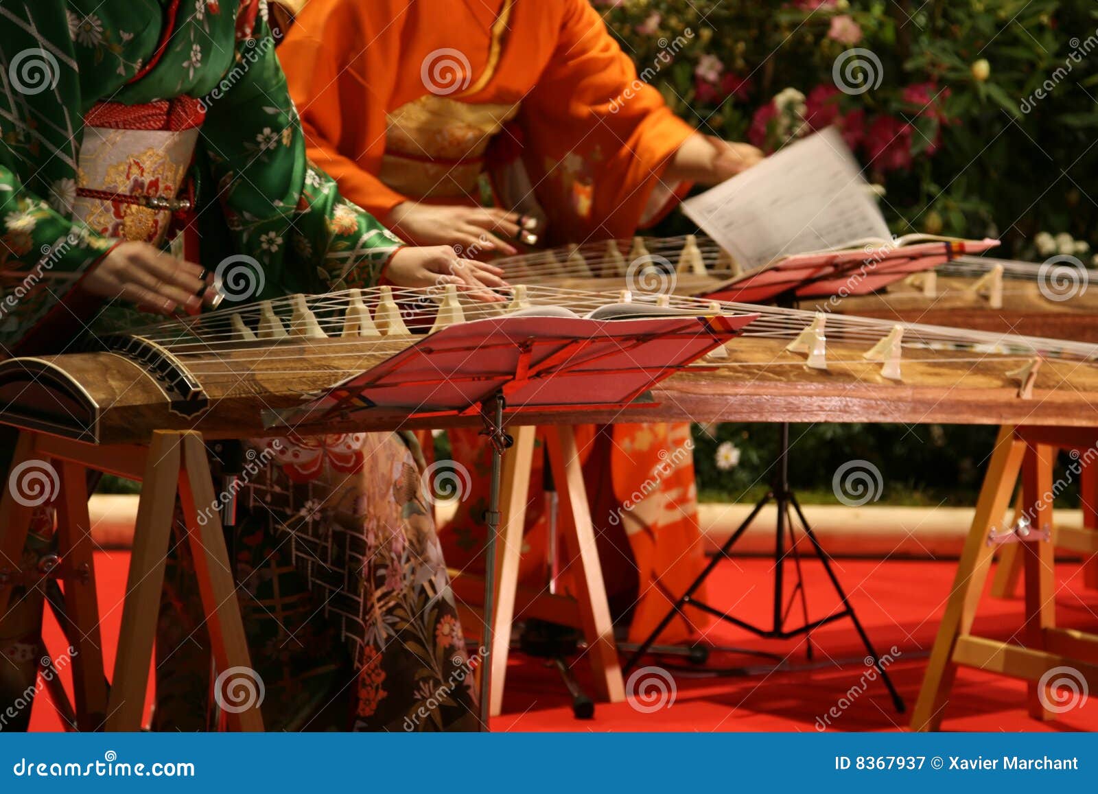 Japanese cithar players stock image. Image of culture - 8367937