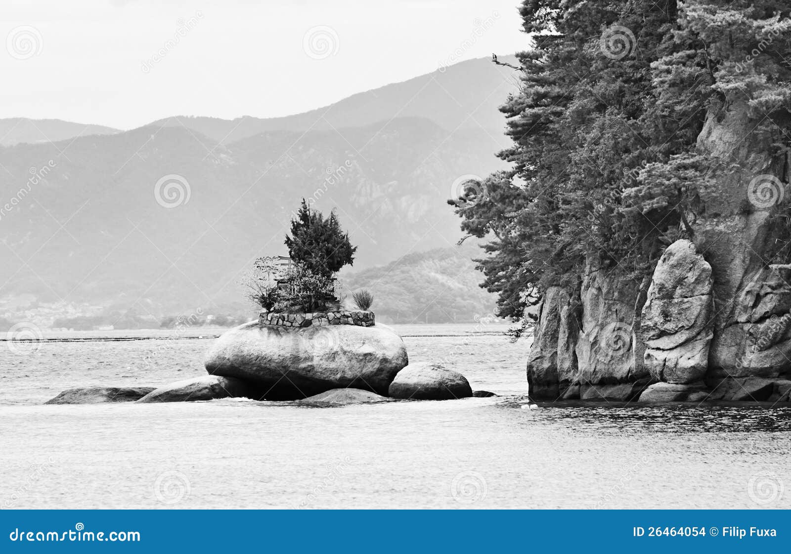 Japanese coast stock photo. Image of pines, steep, miyajima - 26464054