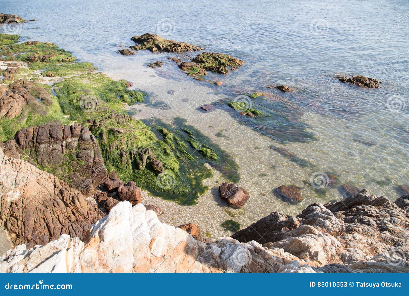 Japanese coast scenery stock image. Image of seaweed - 83010553