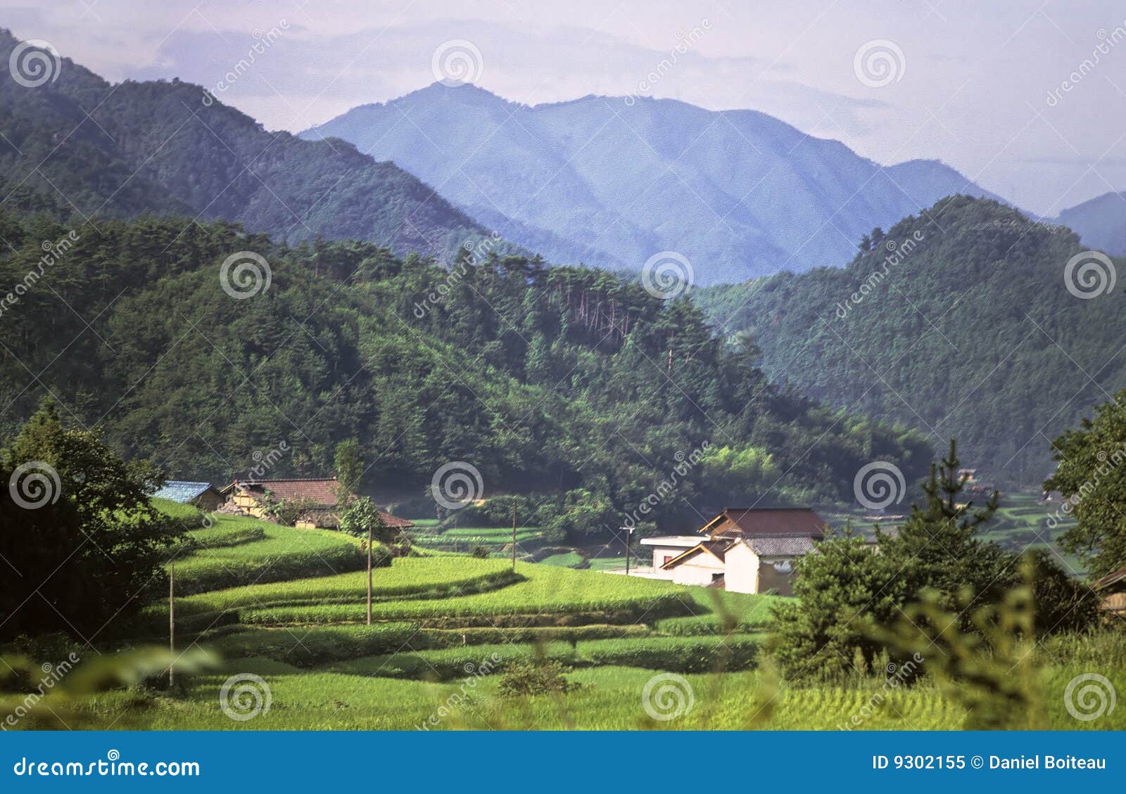 Japanese country stock image. Image of cultivation, mountain - 9302155