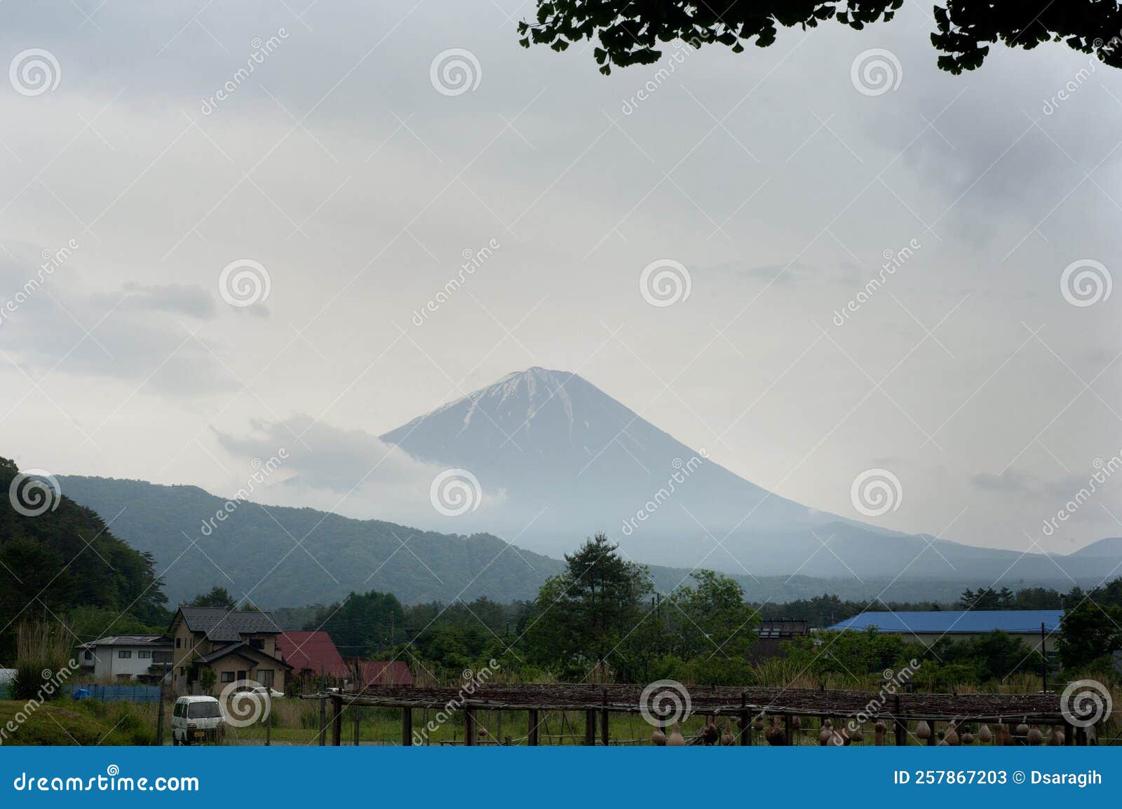 Japanese Countryside stock image. Image of plant, mist - 257867203