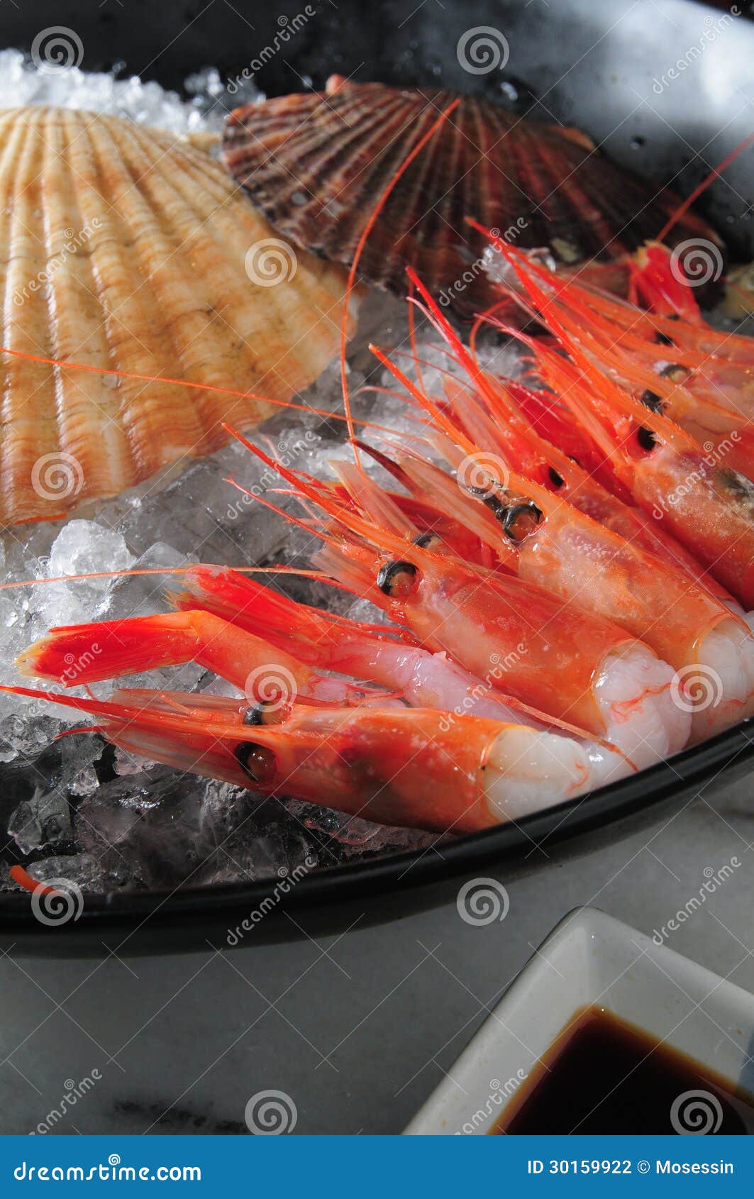 Raw Shrimp Sashimi Amaebi Shell Platter Icecube Stock Photo - Image of ...