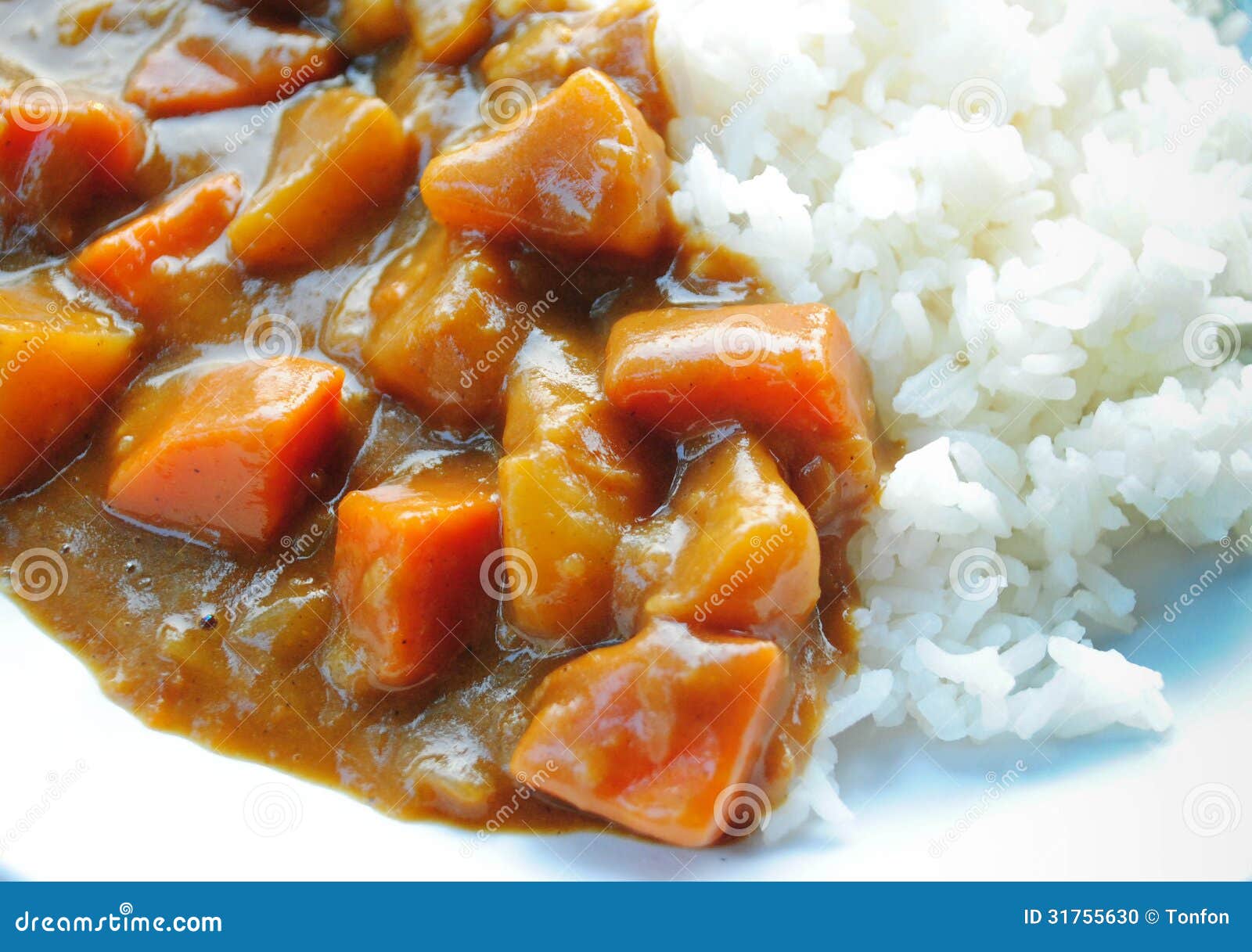 Japanese Curry Rice stock photo. Image of chicken, food - 31755630