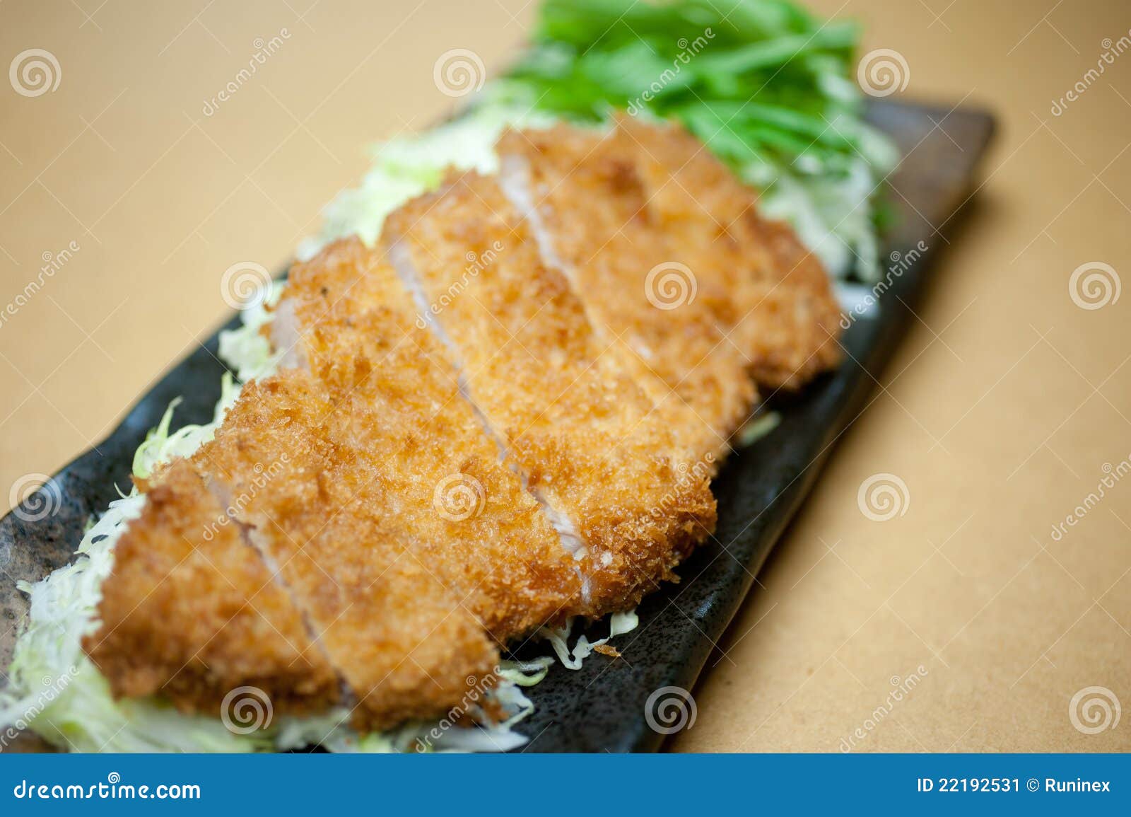 Japanese Deep Cutlet Tonkatsu Stock Image - Image of home, cutlet: 22192531