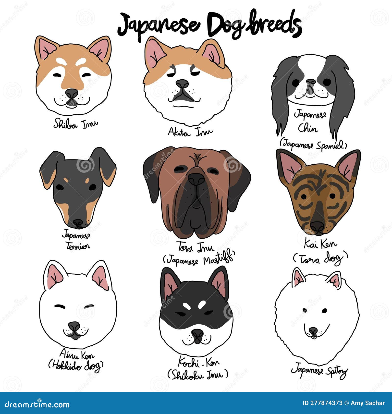 Japanese Dog Breed Cartoon Chart Illustration Stock Vector ...