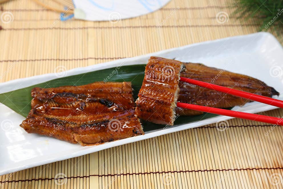 Japanese eel dish stock image. Image of japanese, sauce - 116794899