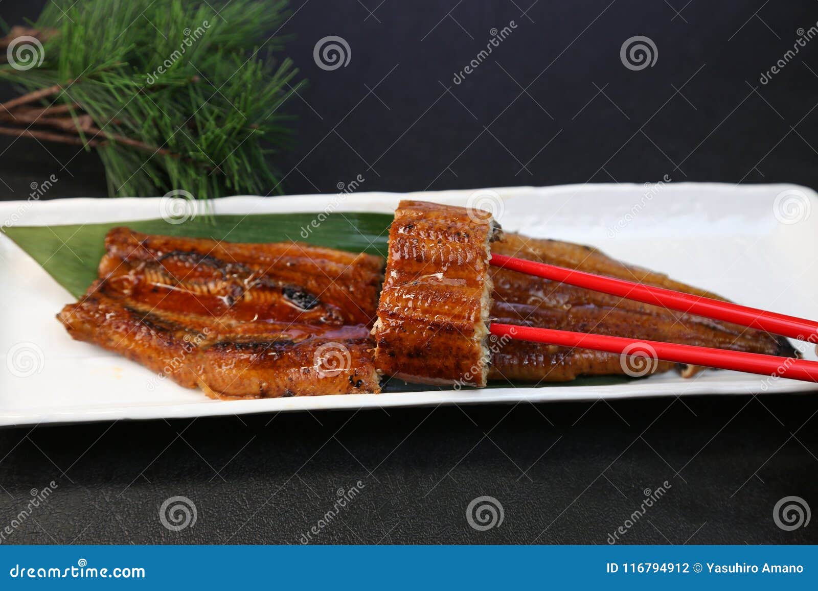 Japanese eel dish stock photo. Image of asia, white - 116794912