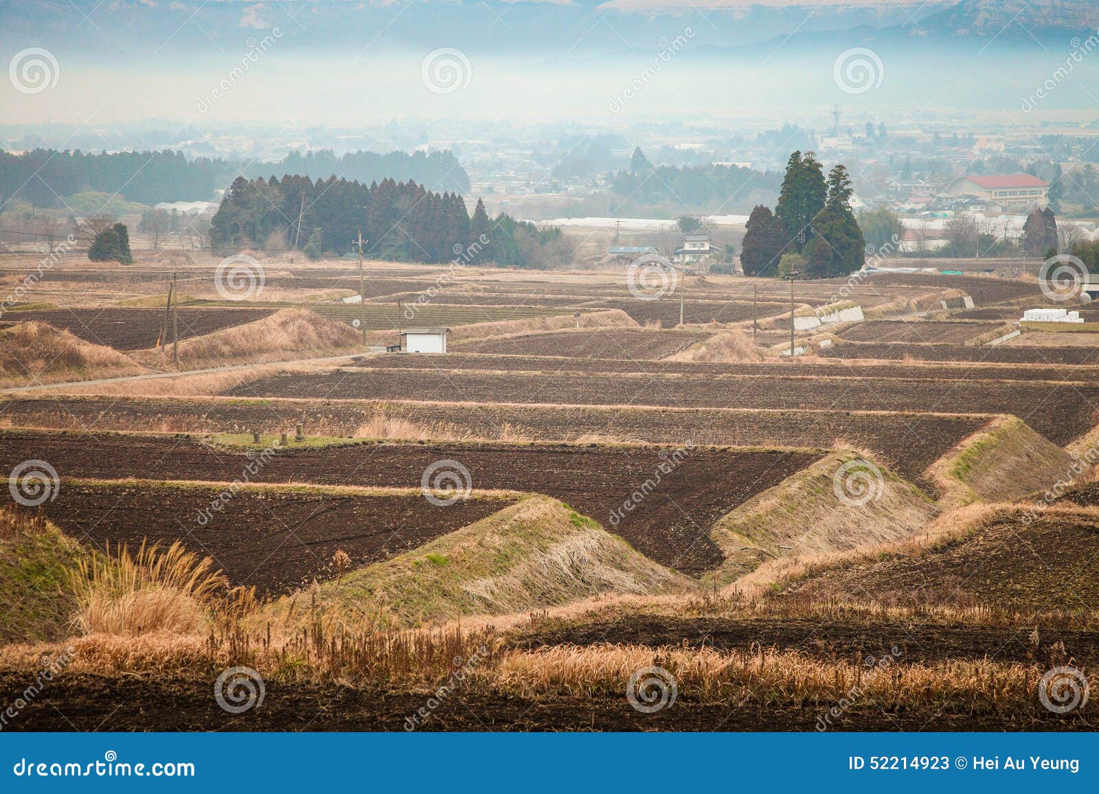 Japanese Farm House Royalty-Free Stock Image | CartoonDealer.com #73178248