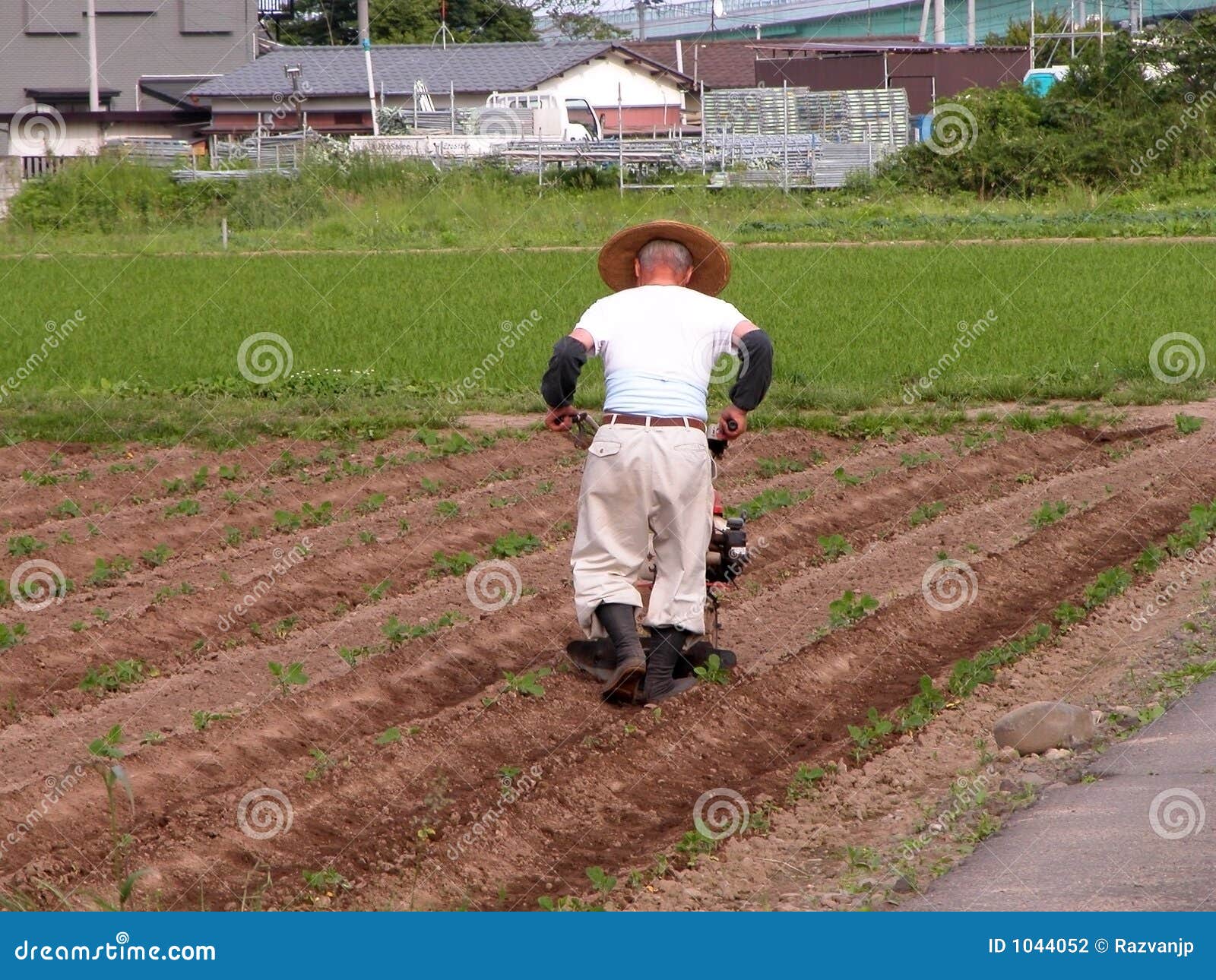 Japanese farmer stock photo. Image of outdoor, garden - 1044052