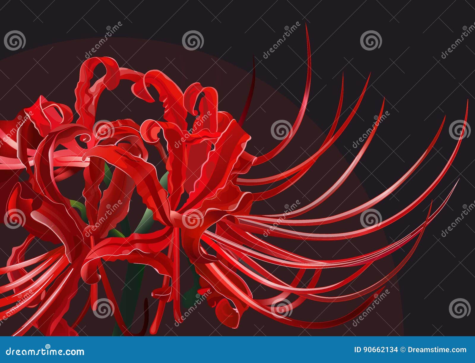 Japanese Flowers Circle Around Decorated Polygonum Filiforme Cartoon ...