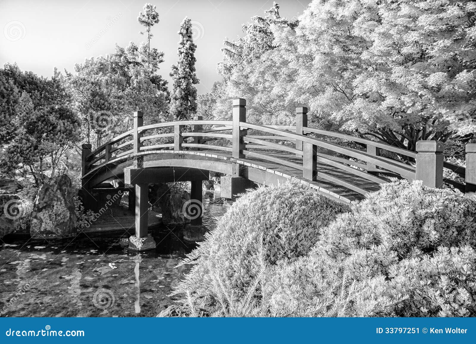 Japanese Footbridge Over Pond in Black and White Stock Image - Image of ...