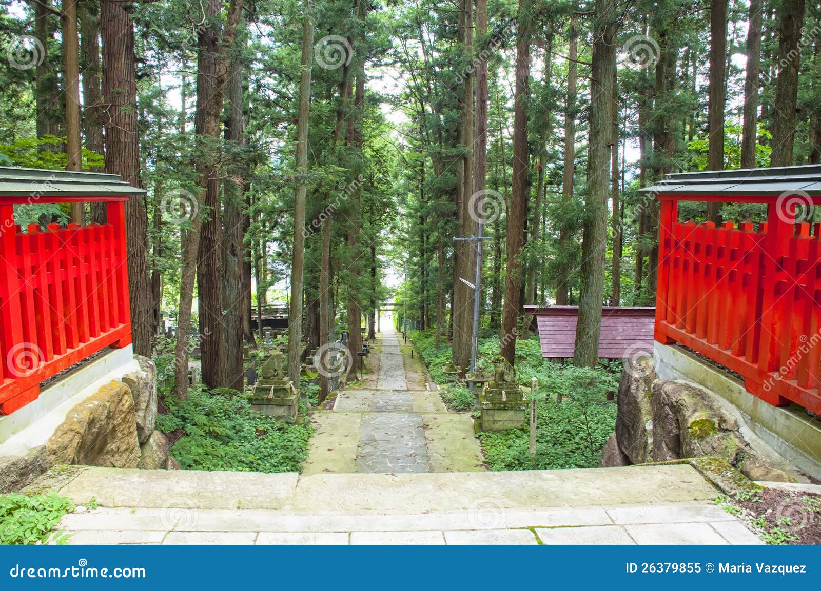 Japanese Forest stock image. Image of meditation, natural - 26379855