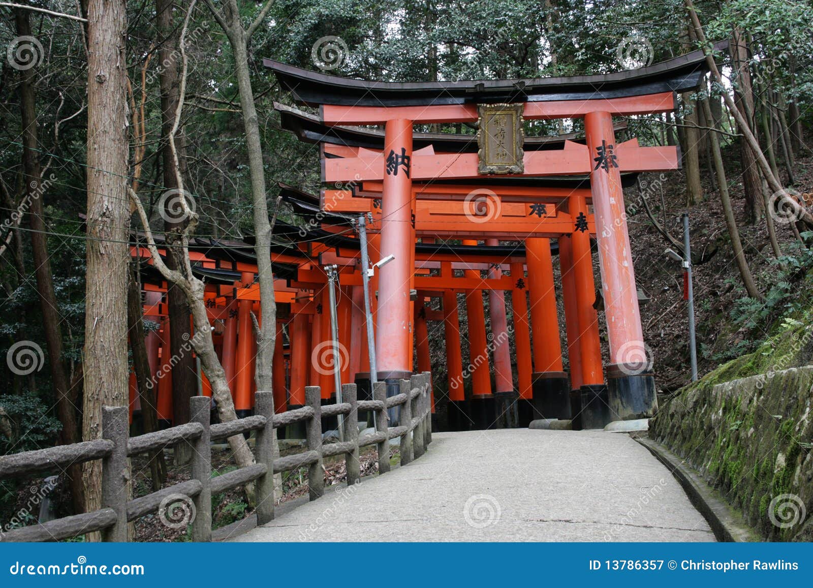 Japanese Forest Landscape stock image. Image of architecture - 13786357