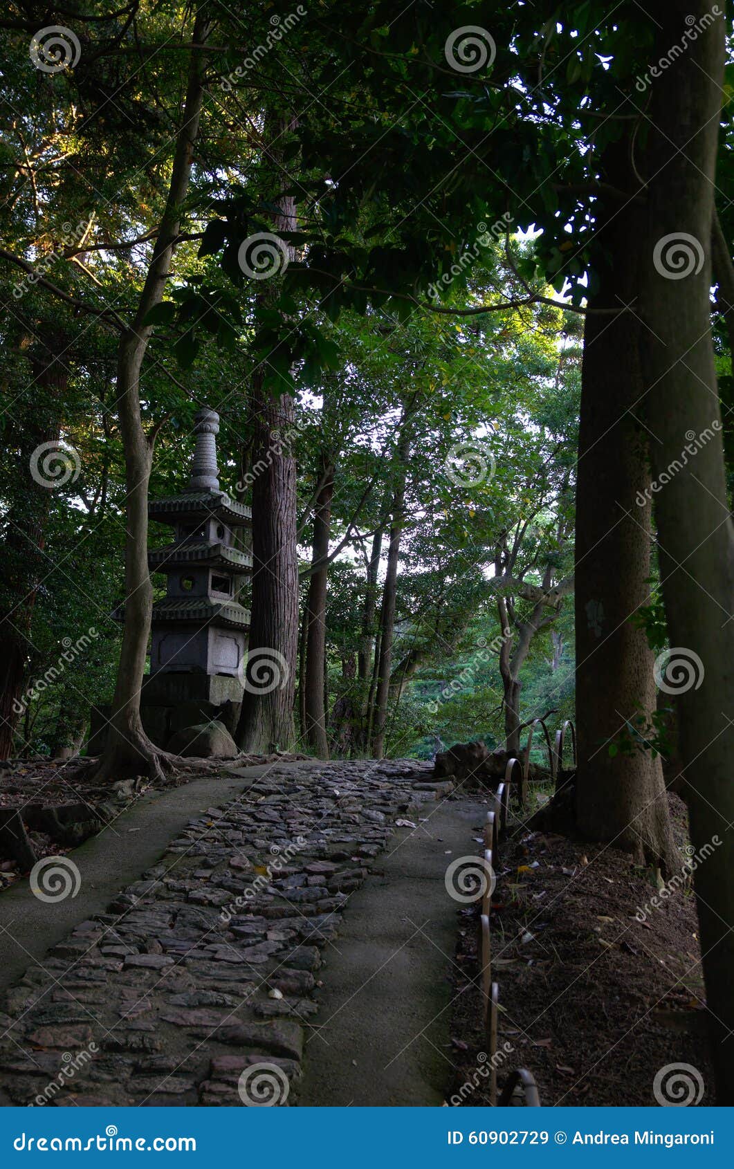 Japanese forest path stock image. Image of trees, stones - 60902729