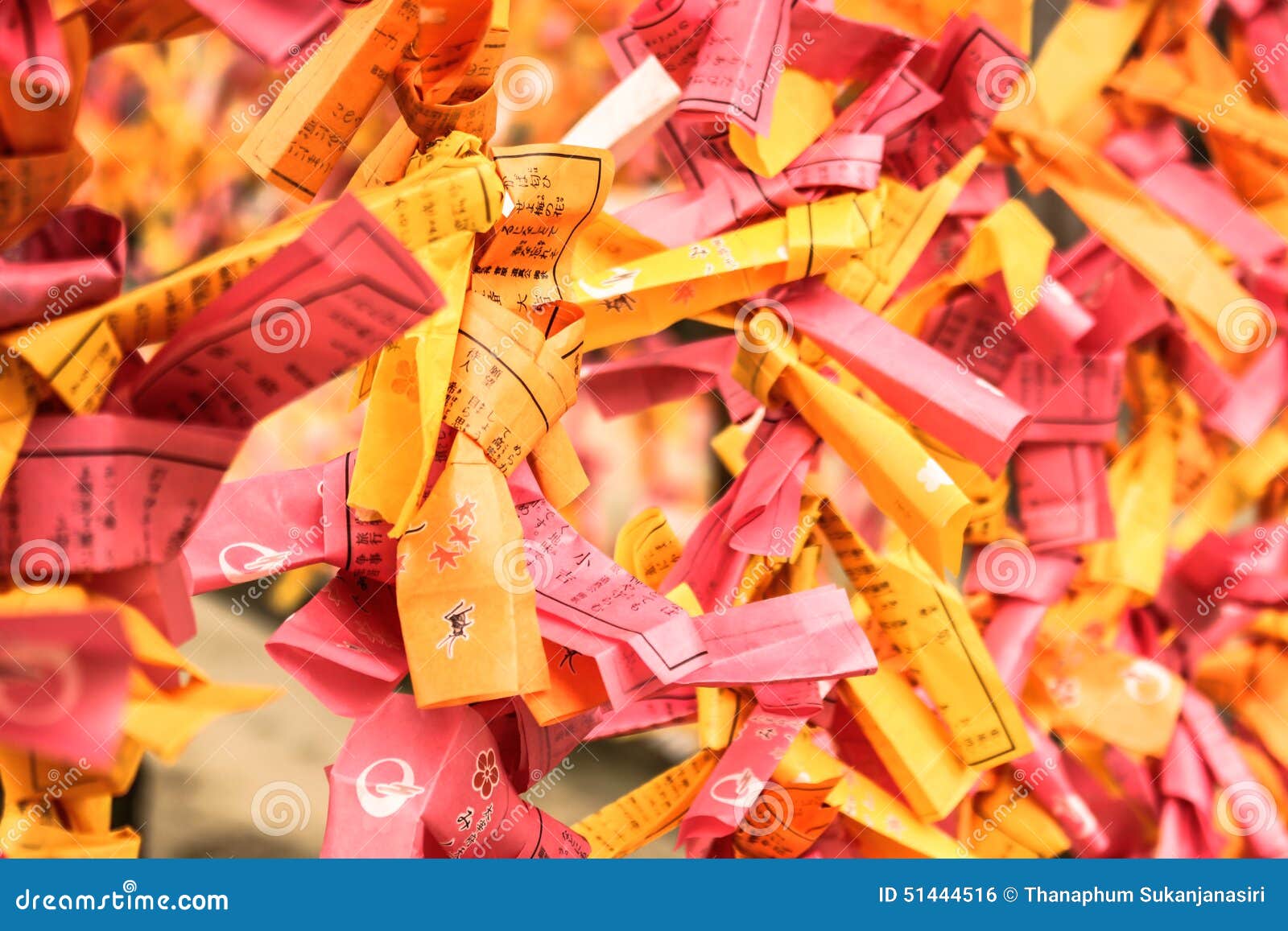 Japanese Fortune teller stock photo. Image of faith, teller - 51444516