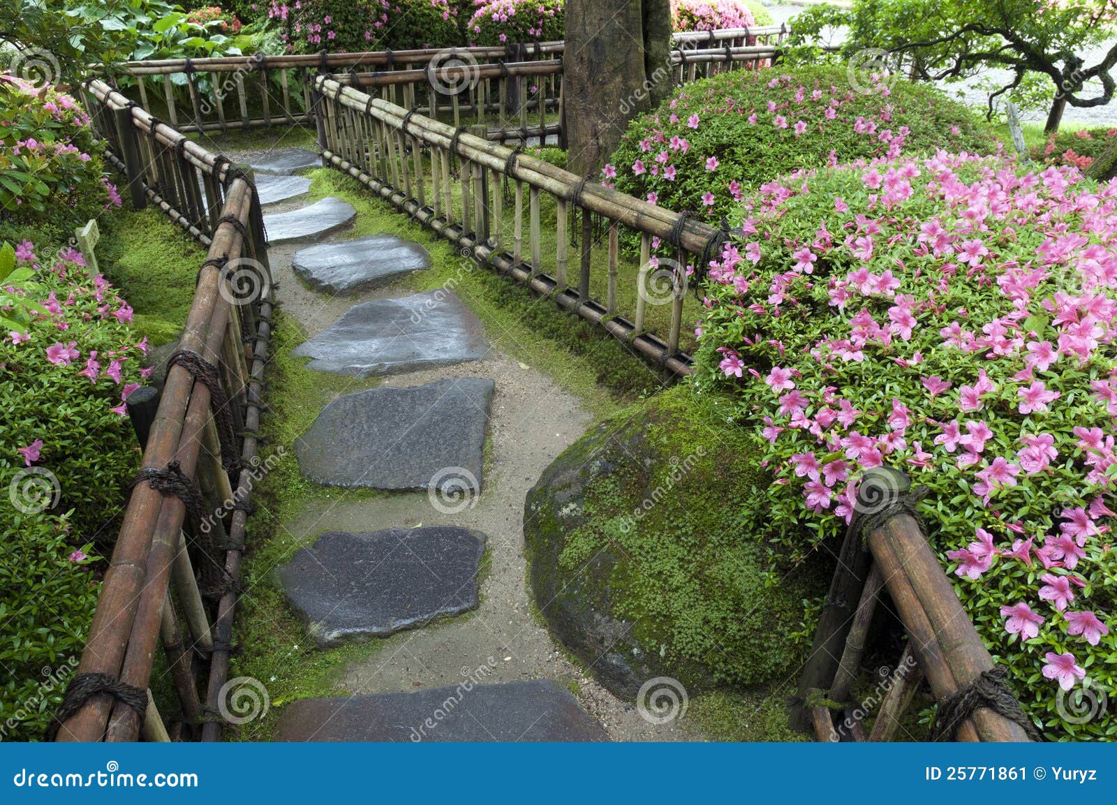 Japanese garden stock image. Image of wooden, pathway - 25771861