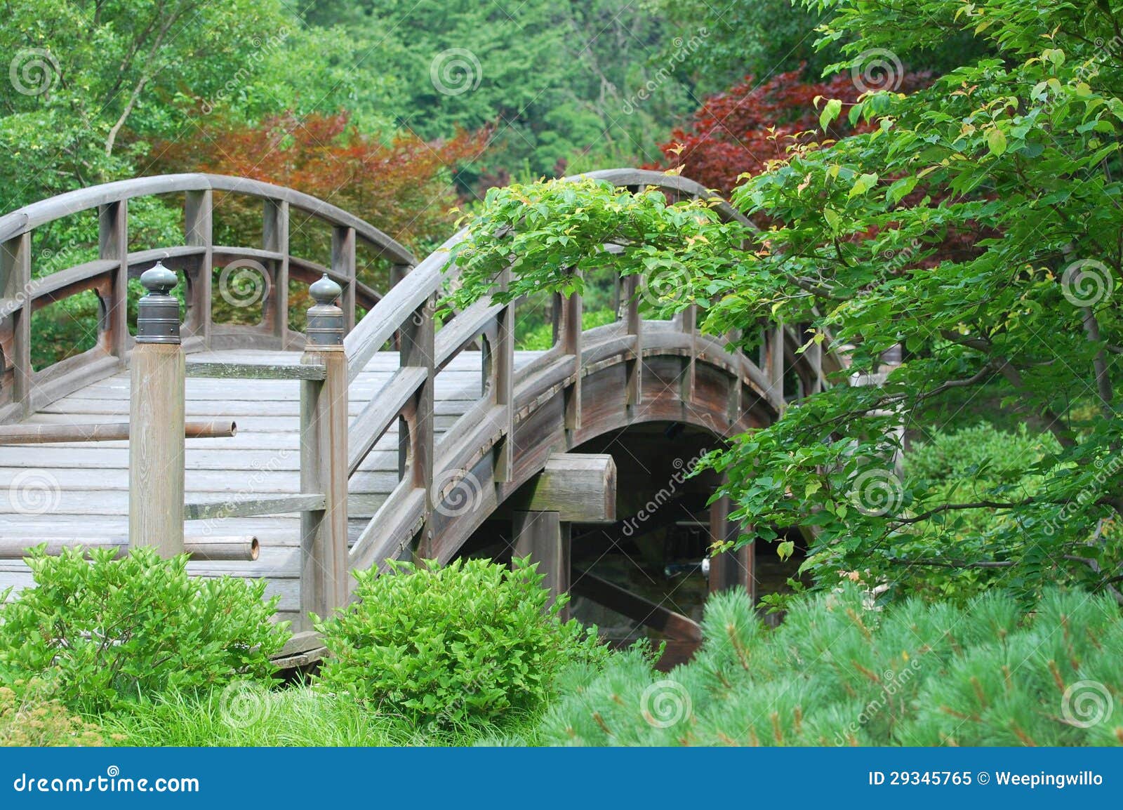 Japanese Garden Bridge stock image. Image of japanese - 29345765
