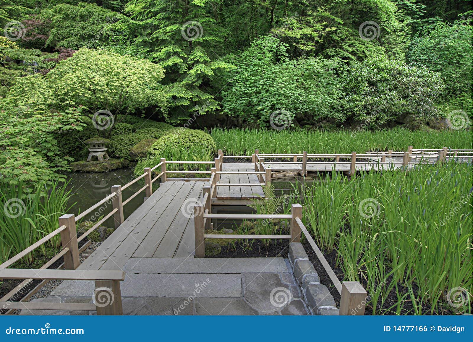 Japanese Garden Bridge Over Pond Stock Photo - Image of walkway, nature ...