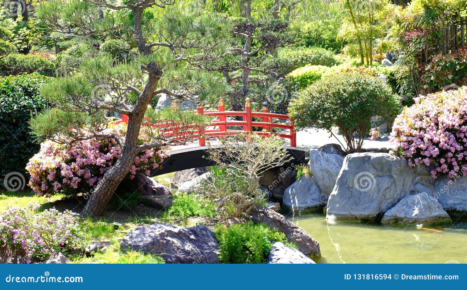 Japanese garden in Monaco stock photo. Image of plants - 131816594