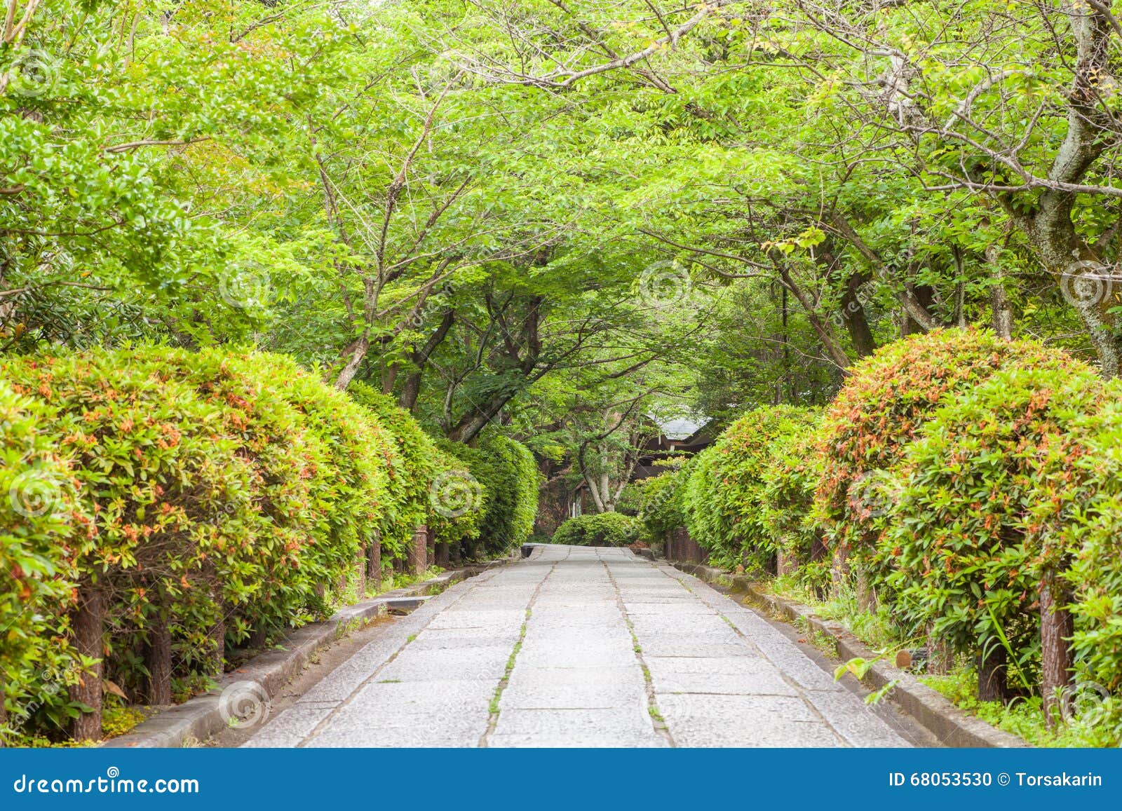 Japanese Garden and Concrete Pathway Stock Photo - Image of nature ...