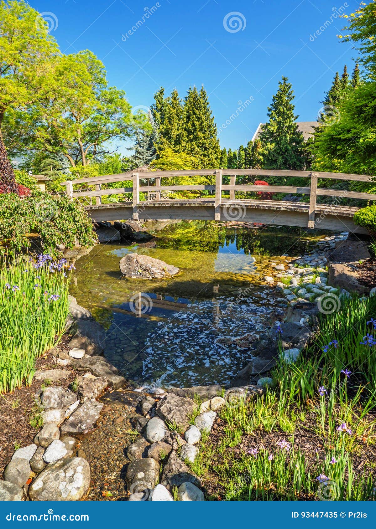 Japanese Garden Design with Water Stream and Bridge Stock Image - Image ...