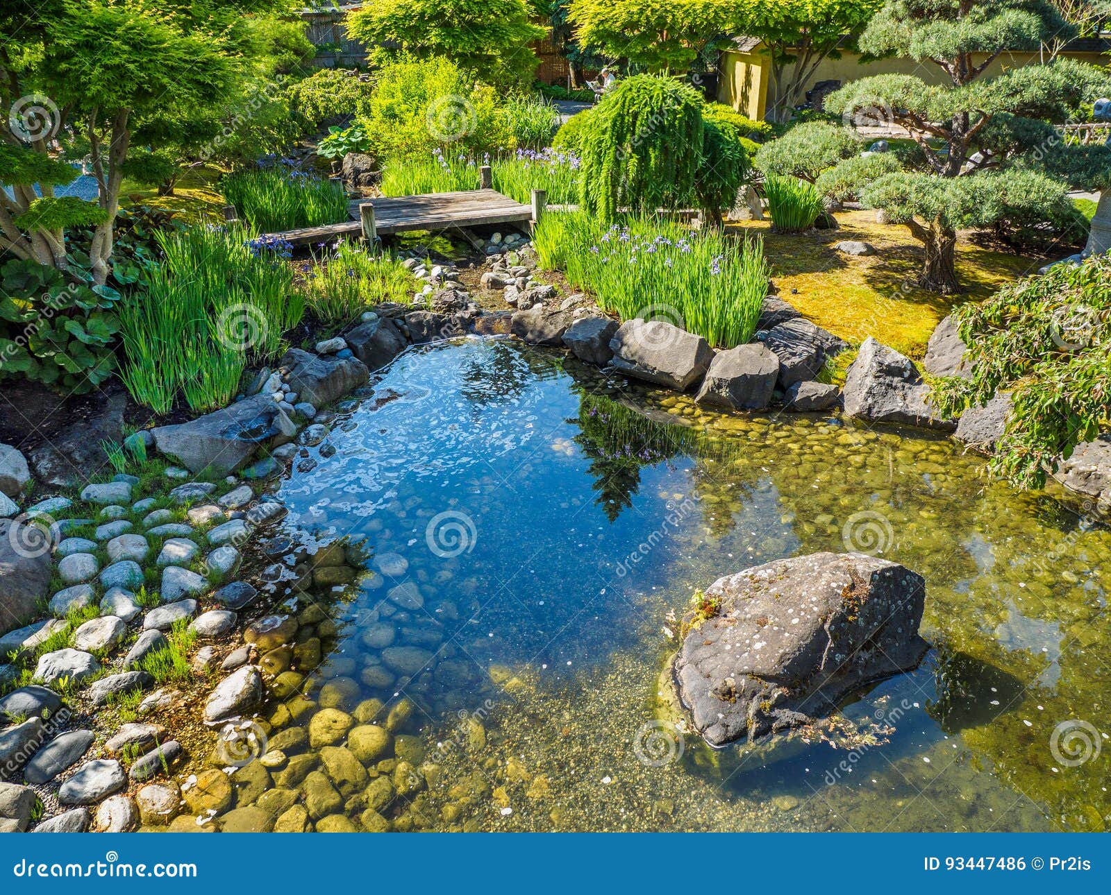 Japanese Garden Design with Water Stream and Bridge Stock Photo - Image ...