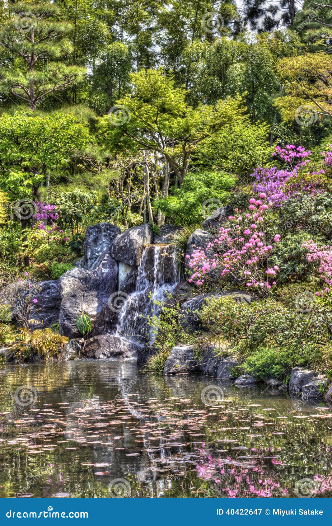 Japanese Garden Hdr Effect Stock Photos - Free & Royalty-Free Stock ...