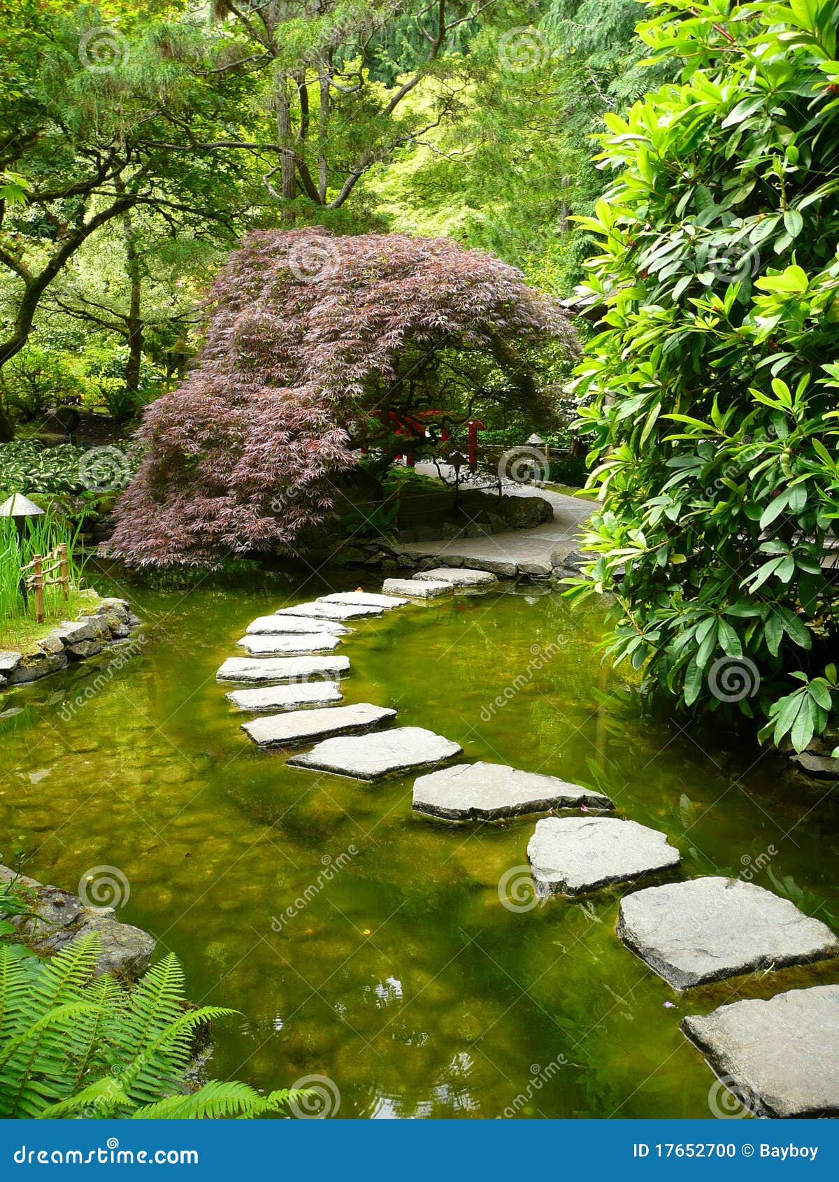 Japanese garden Pathway stock photo. Image of garden - 17652700