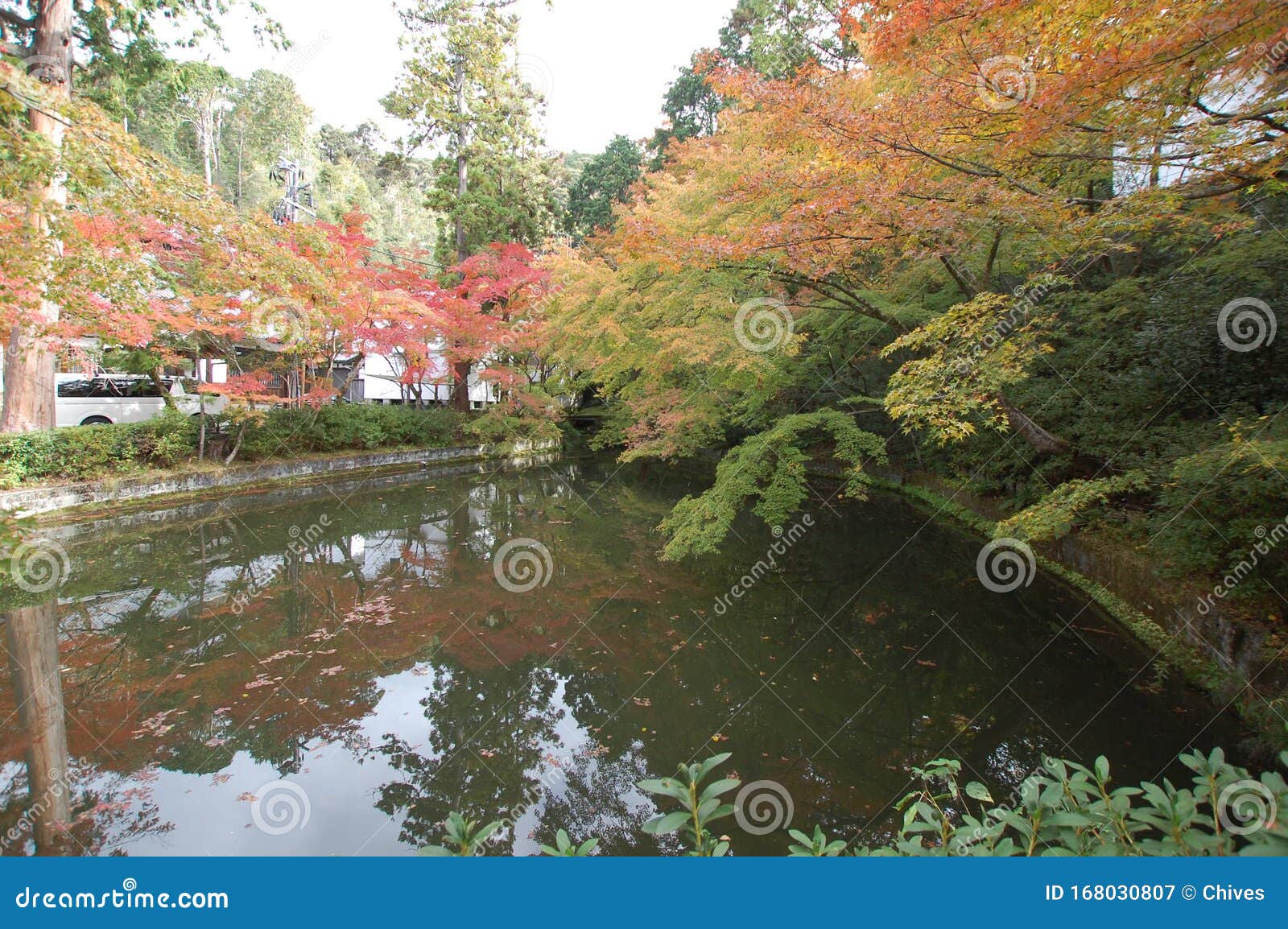 Japanese garden and pond stock image. Image of japan - 168030807