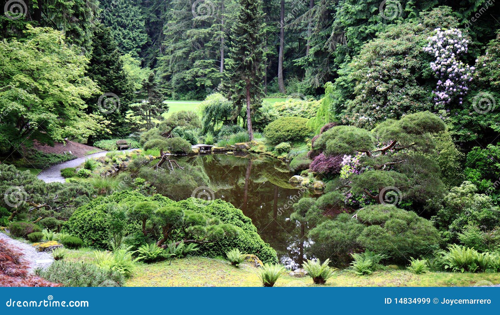 Japanese Garden Pool stock image. Image of quiet, beauty - 14834999