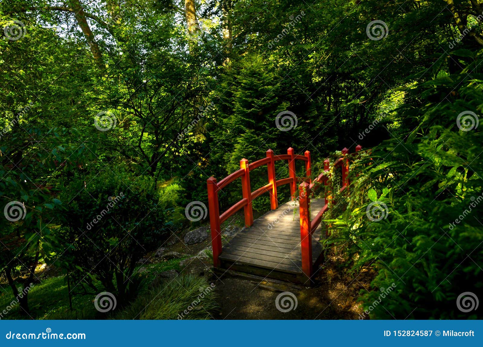 Japanese Garden with Red Bridge Stock Image - Image of bridge, colorful ...