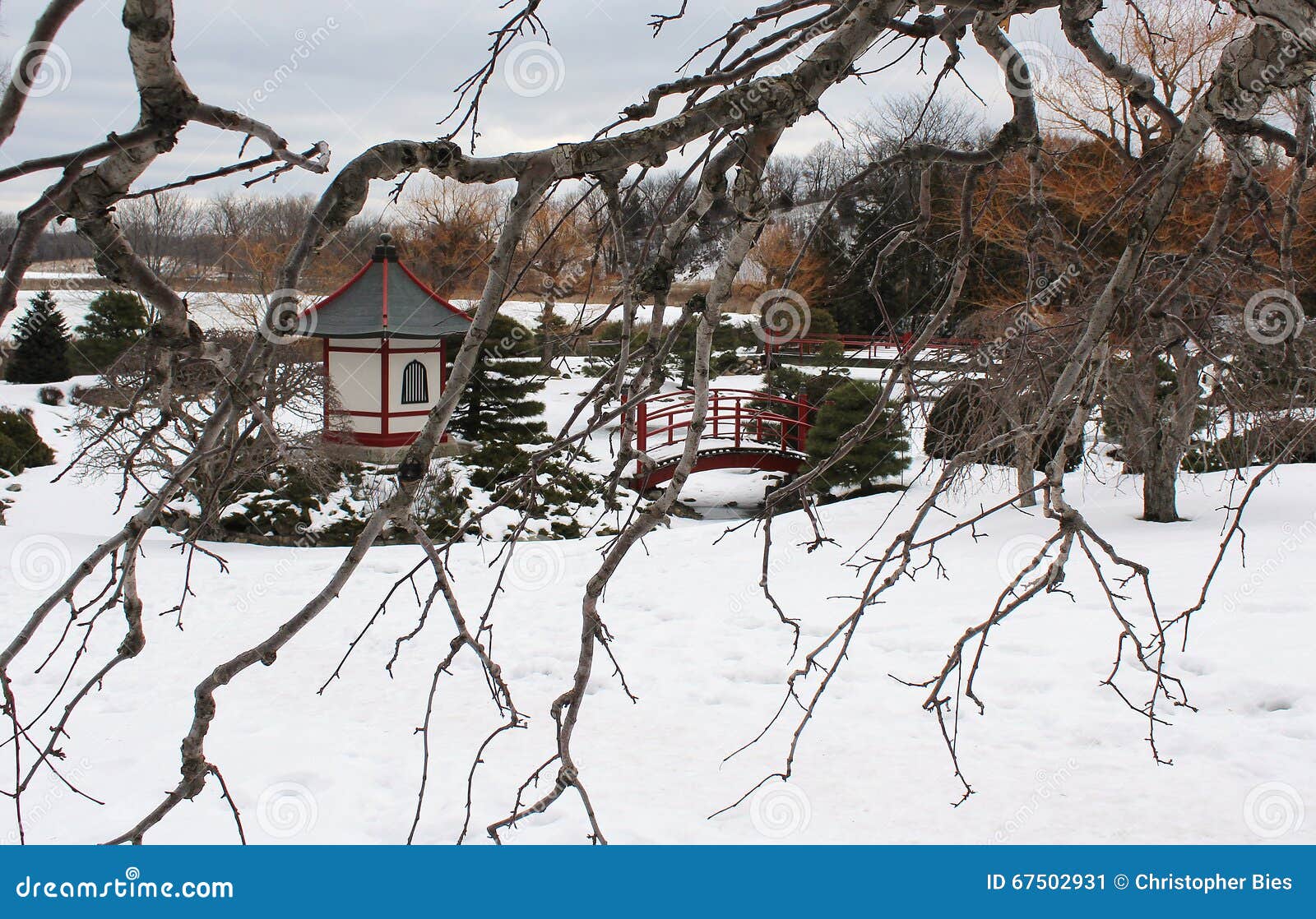 Japanese Garden in Snow stock image. Image of elements - 67502931