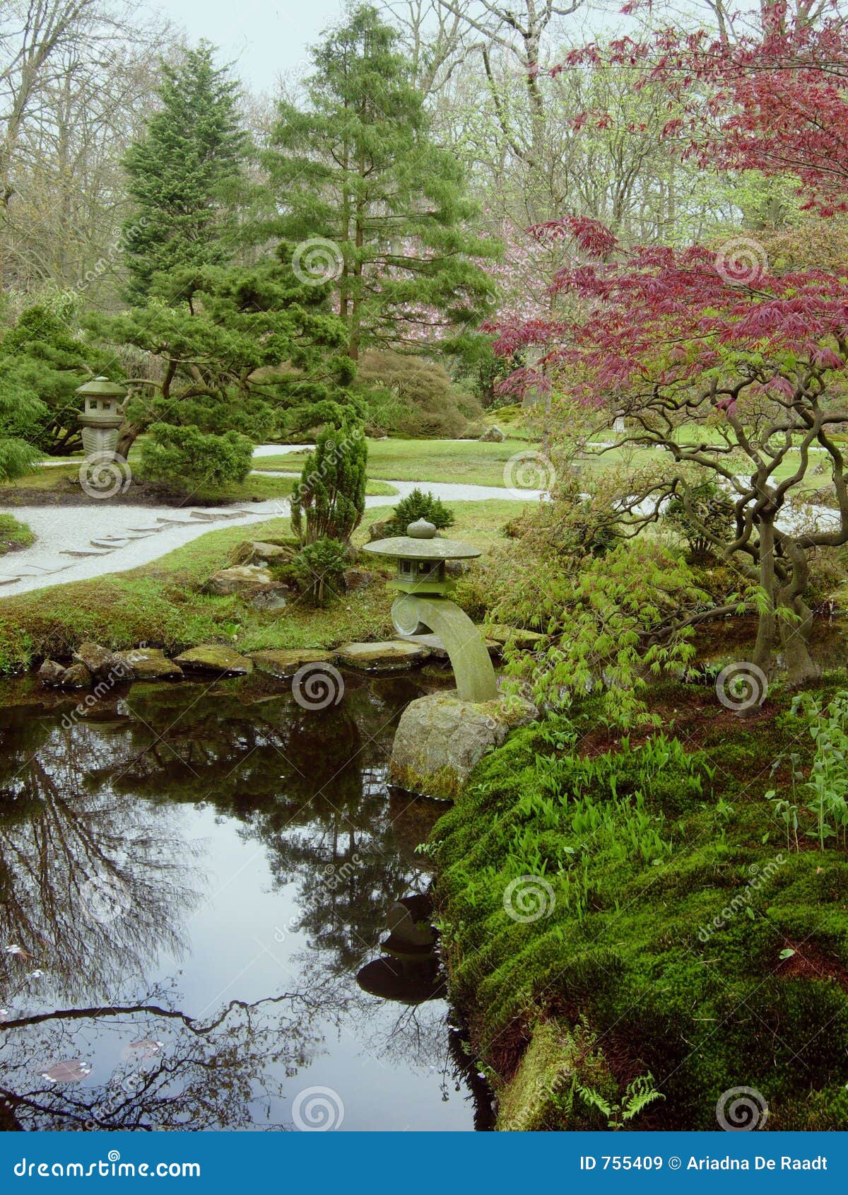 Japanese garden in spring stock image. Image of path, rock - 755409