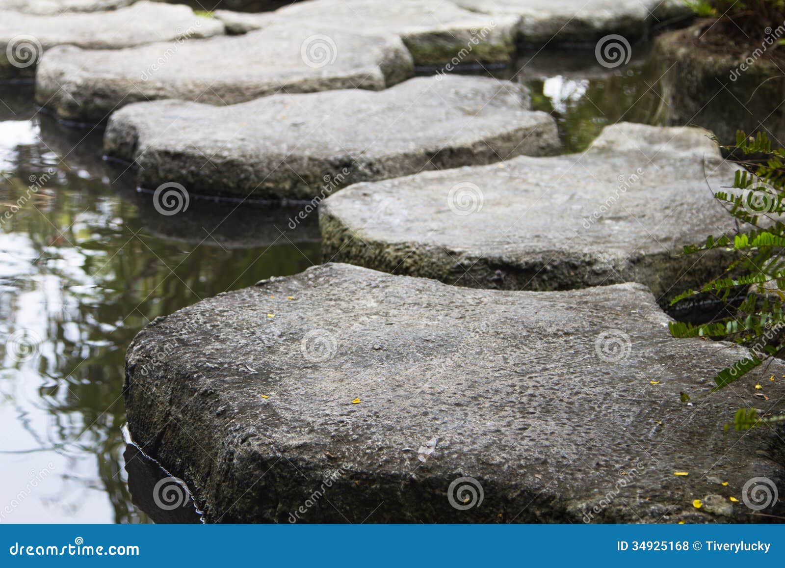 Japanese Garden Stone Pathway Stock Photo - Image of stream, stone ...