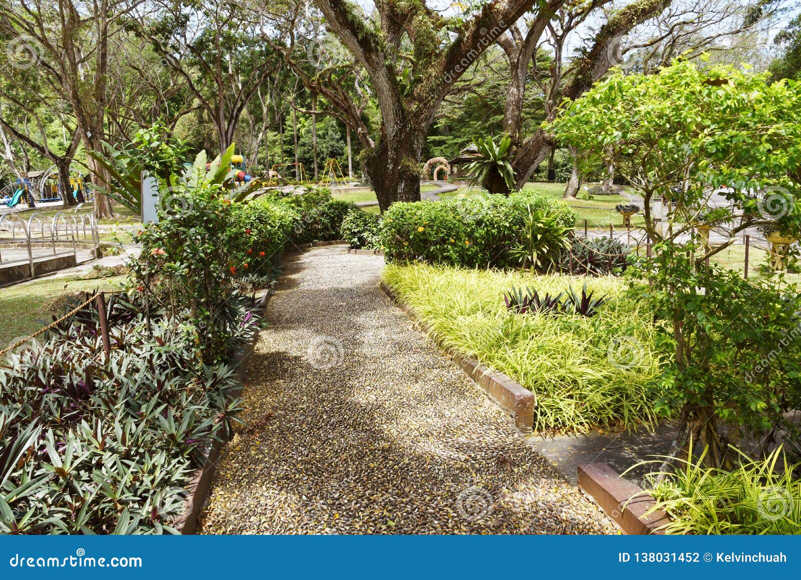 Japanese Garden walkway stock photo. Image of bush, lush - 138031452