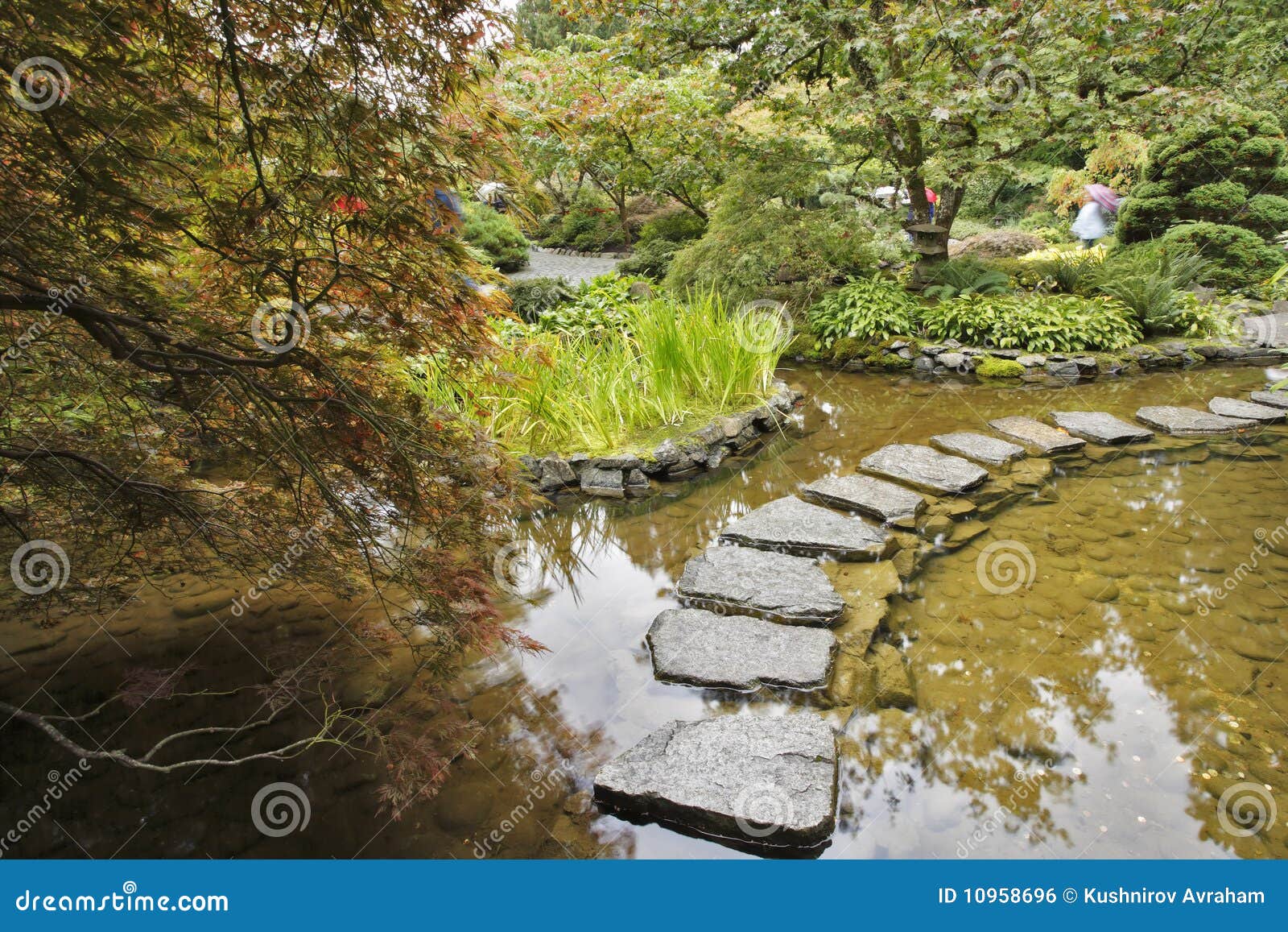 Japanese Garden. a Stream and Path Stock Photo - Image of park ...