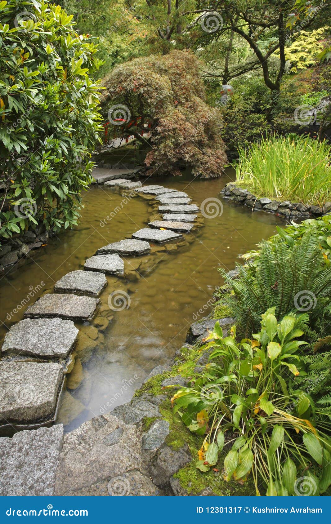 Japanese Garden. a Stream and Path from Stones Stock Image - Image of ...