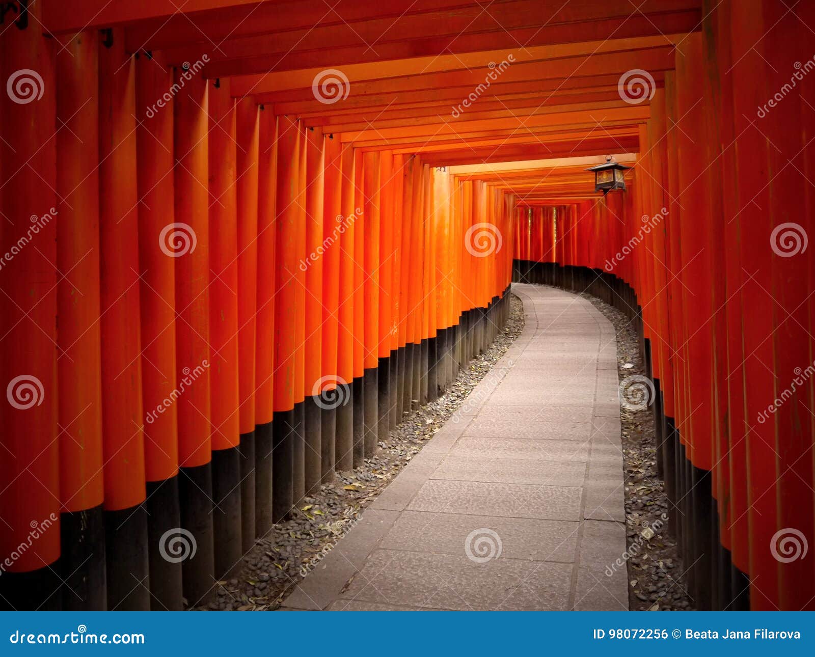 Japanese gate stock image stock photo. Image of nature - 98072256