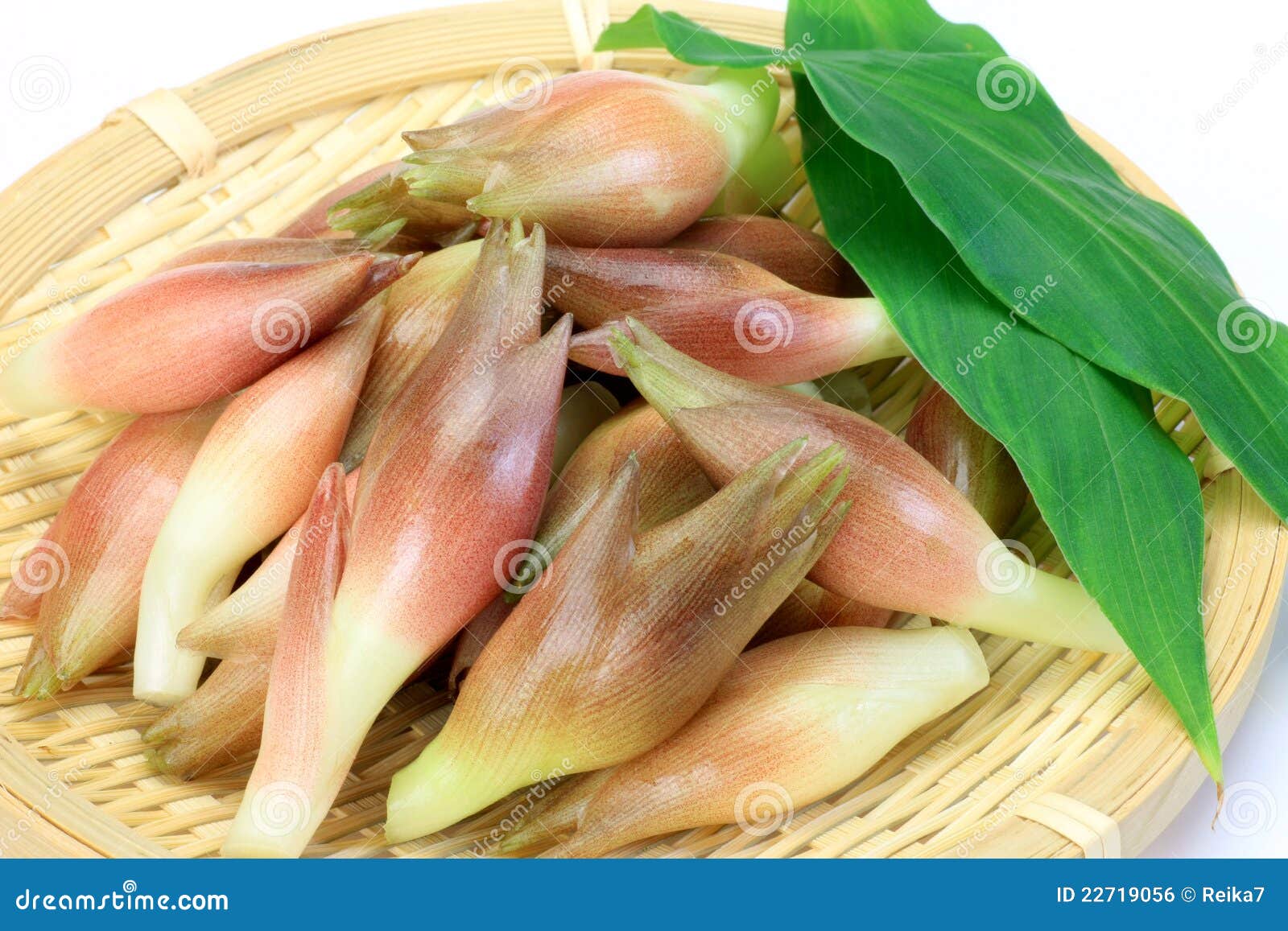 Japanese ginger stock photo. Image of seasoning, nature - 22719056