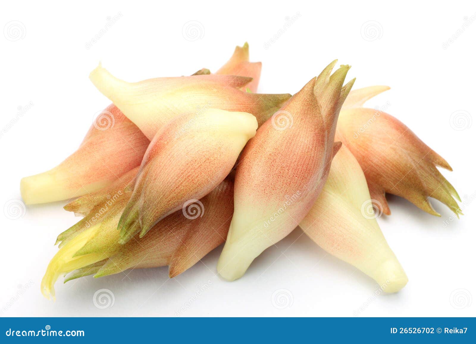 Japanese Ginger Pork Shogayaki With Rice Garnish And Cabbage Closeup In ...