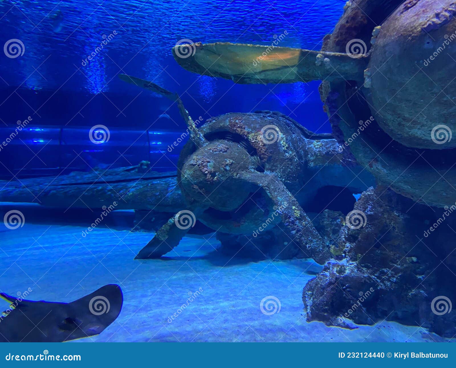 Japanese Hellcat Wreck, Solomon Islands Stock Photo - Image of india ...