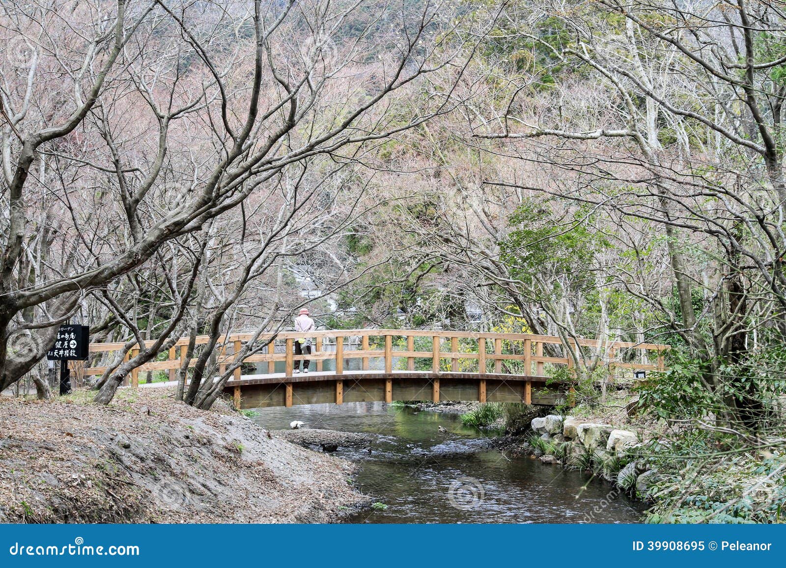 Japanese historical bridge stock image. Image of outdoor - 39908695